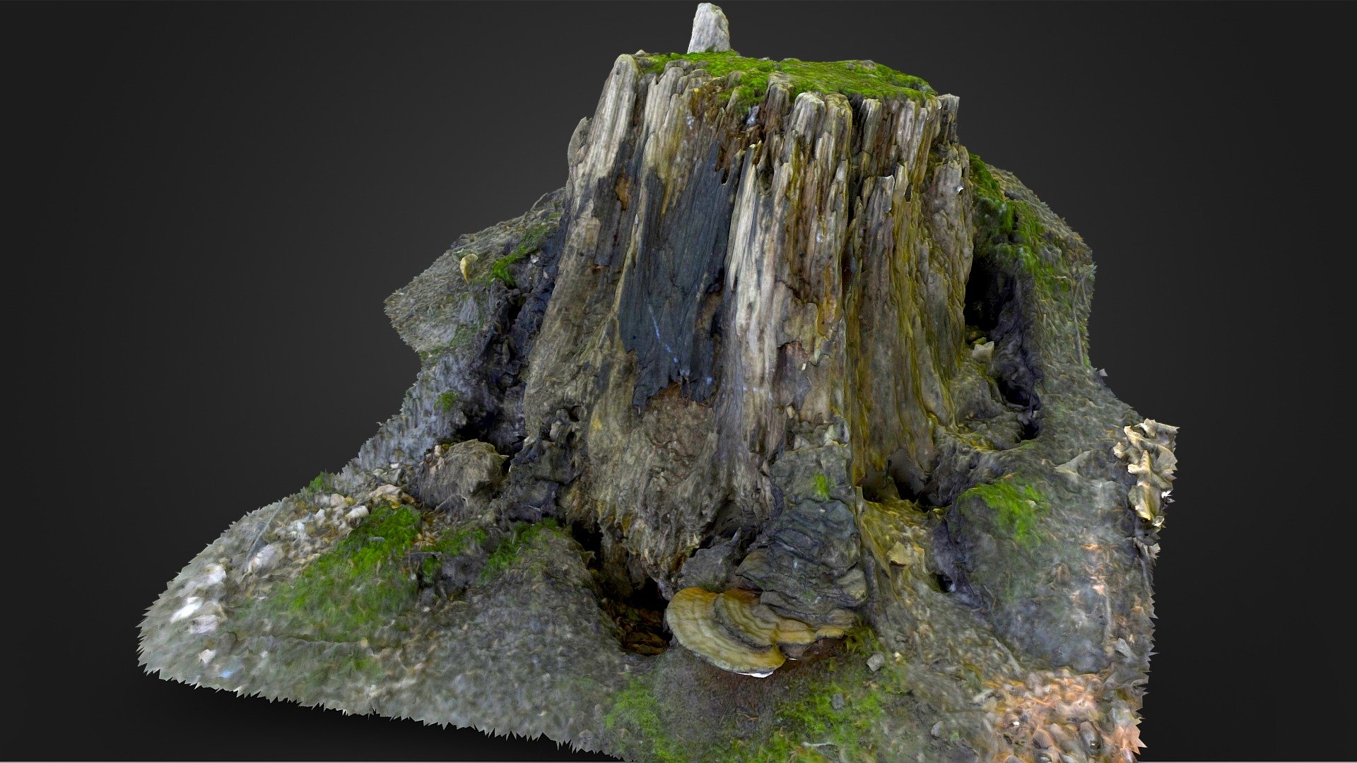 Mossy Tree trunk with mushroom on slope - Download Free 3D model by ...