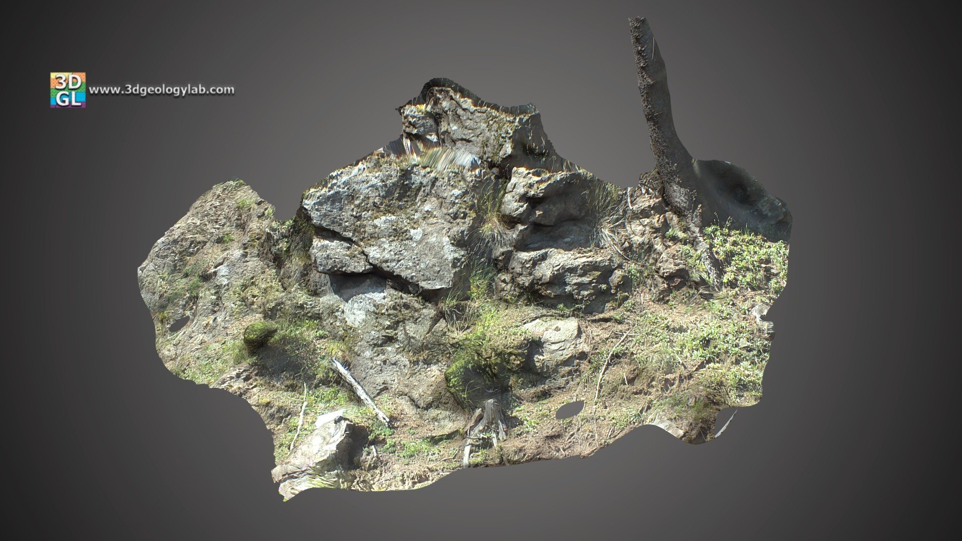 Outcrop - H91 - 3D model by 3D Geology Laboratory (@3DGeologyLab ...