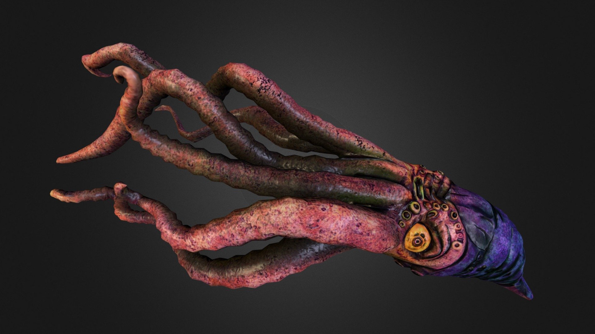 Squidy - 3D model by Charlie Wilson (@3DCharlie) [e7d7deb] - Sketchfab