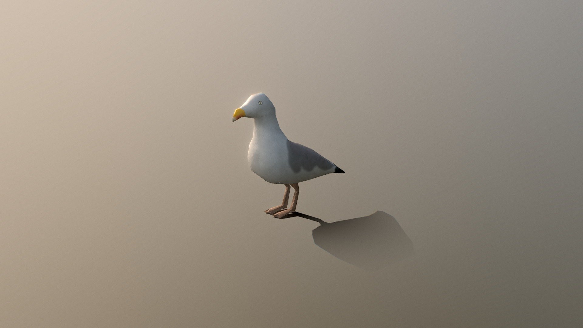 Low Poly Seagull - 3D model by Eva (@evaroderick) [e7dcdd5] - Sketchfab