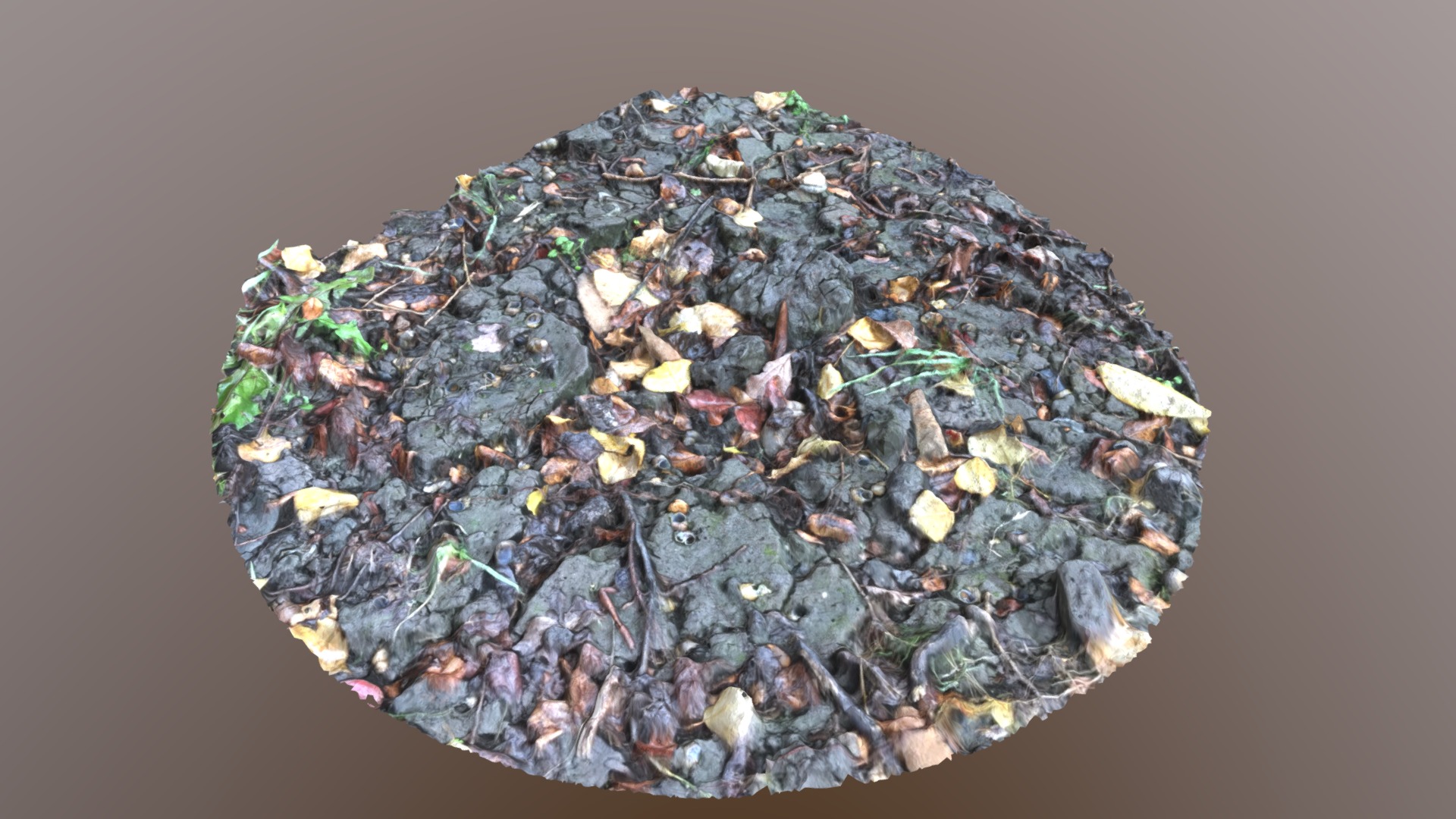 forest ground - Download Free 3D model by okzq1234 [e7e4e0f] - Sketchfab