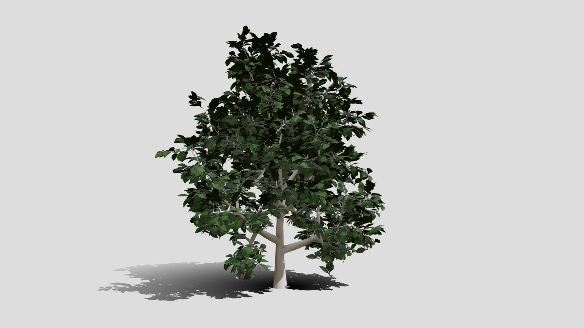 Low Poly Tree 2 - Download Free 3D model by joehorwood [e7e6658 ...
