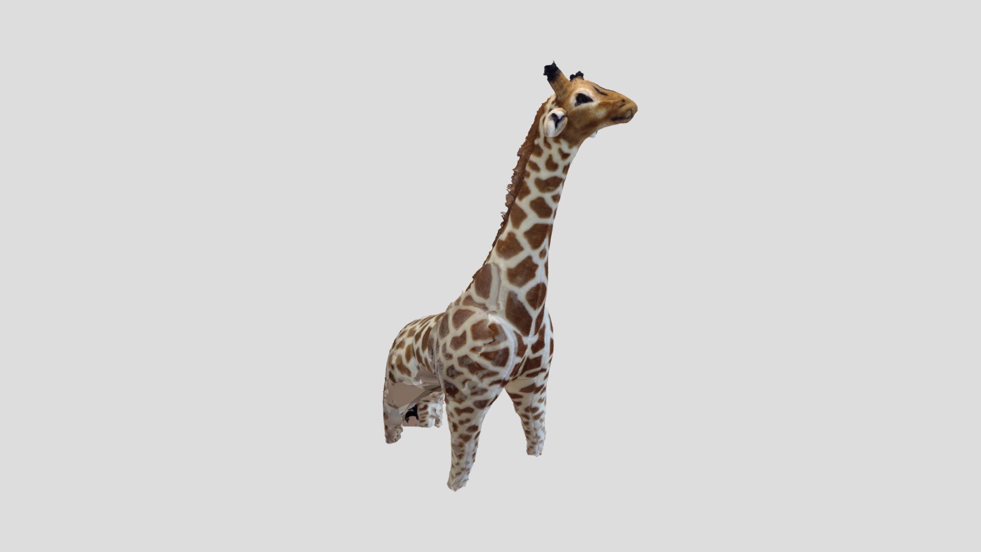 Giraffe - Download Free 3D model by unbgge [e7ecfc1] - Sketchfab