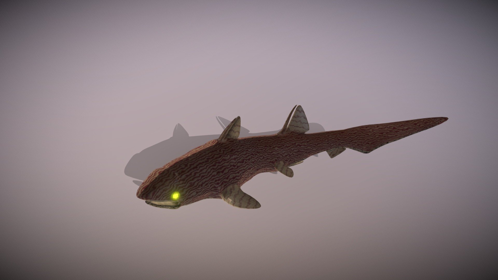 Lissodus (Extinct Shark) - 3D model by JD Web Programmer ...