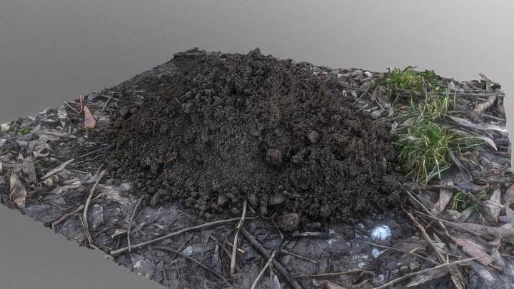 Molehill 3D models - Sketchfab