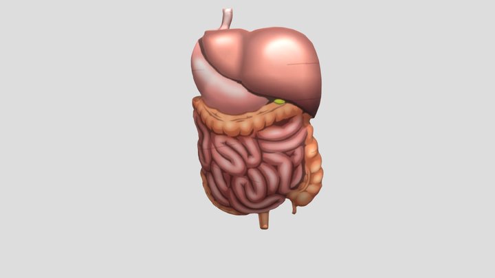 Manusia 3D models - Sketchfab