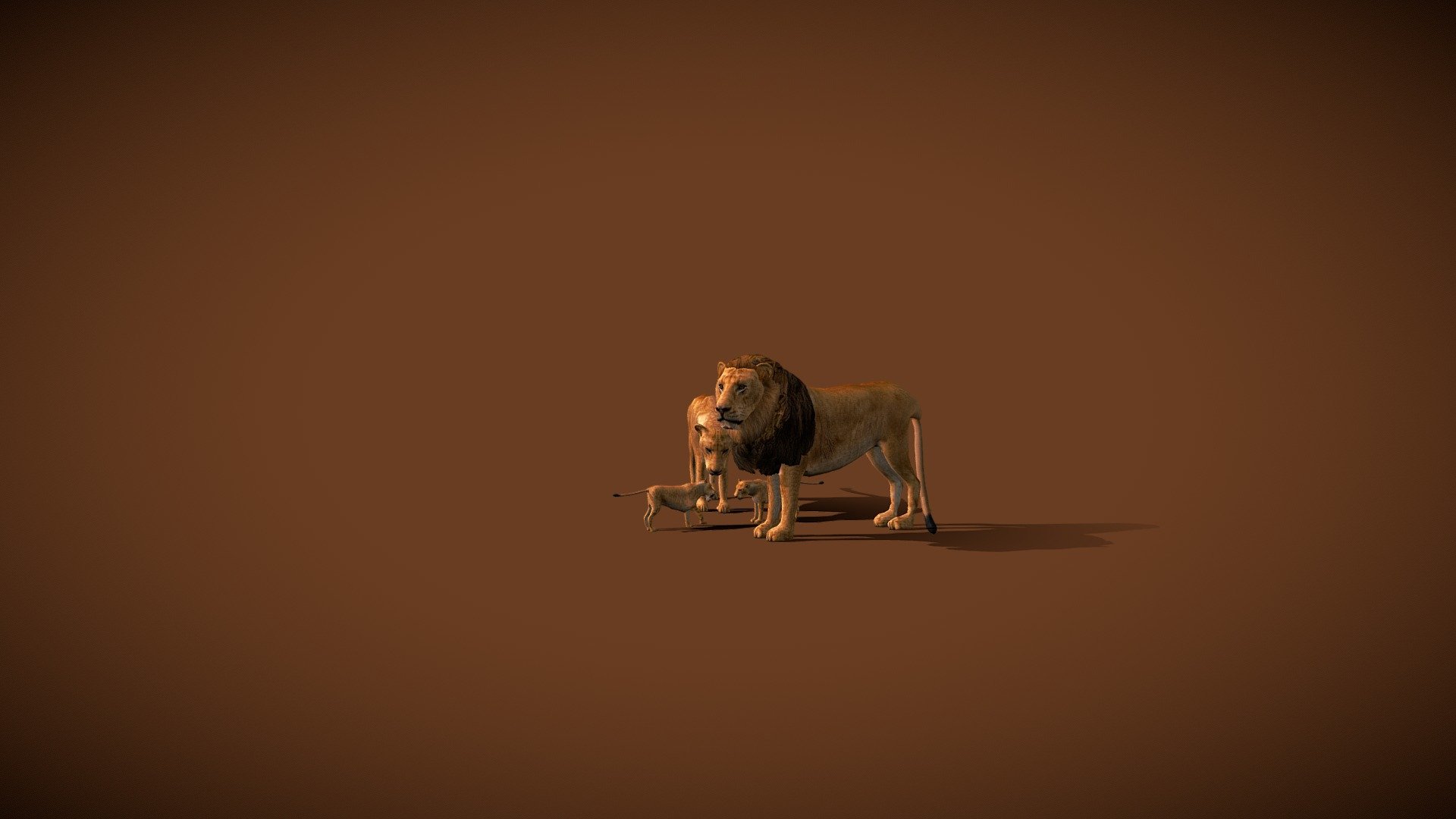 Lions - 3D model by Strigops [e7fac87] - Sketchfab