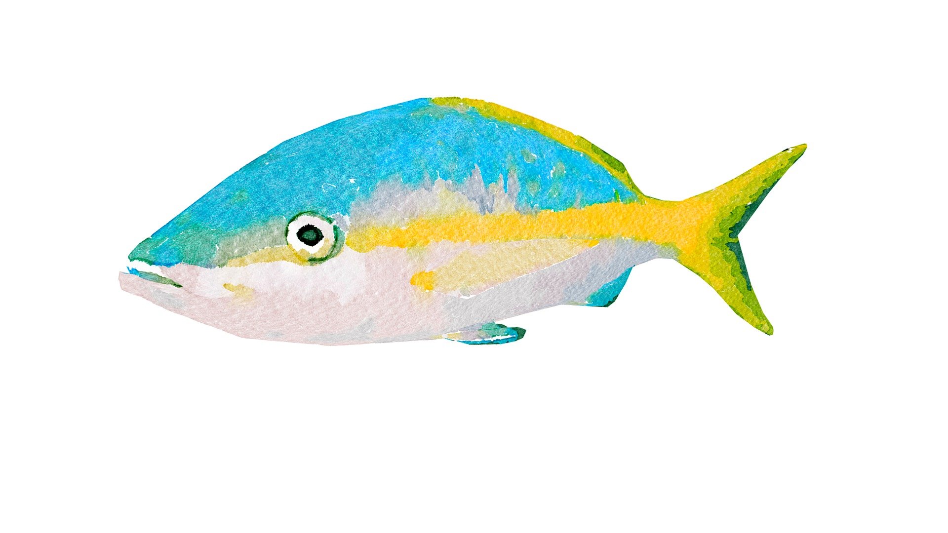 Yellow Snapper Illustration - 3D model by josluat91 [e8013e9] - Sketchfab