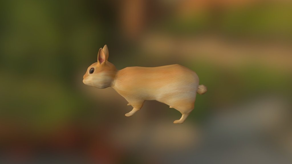 rubbit - 3D model by tou.ritsui [e809cb1] - Sketchfab