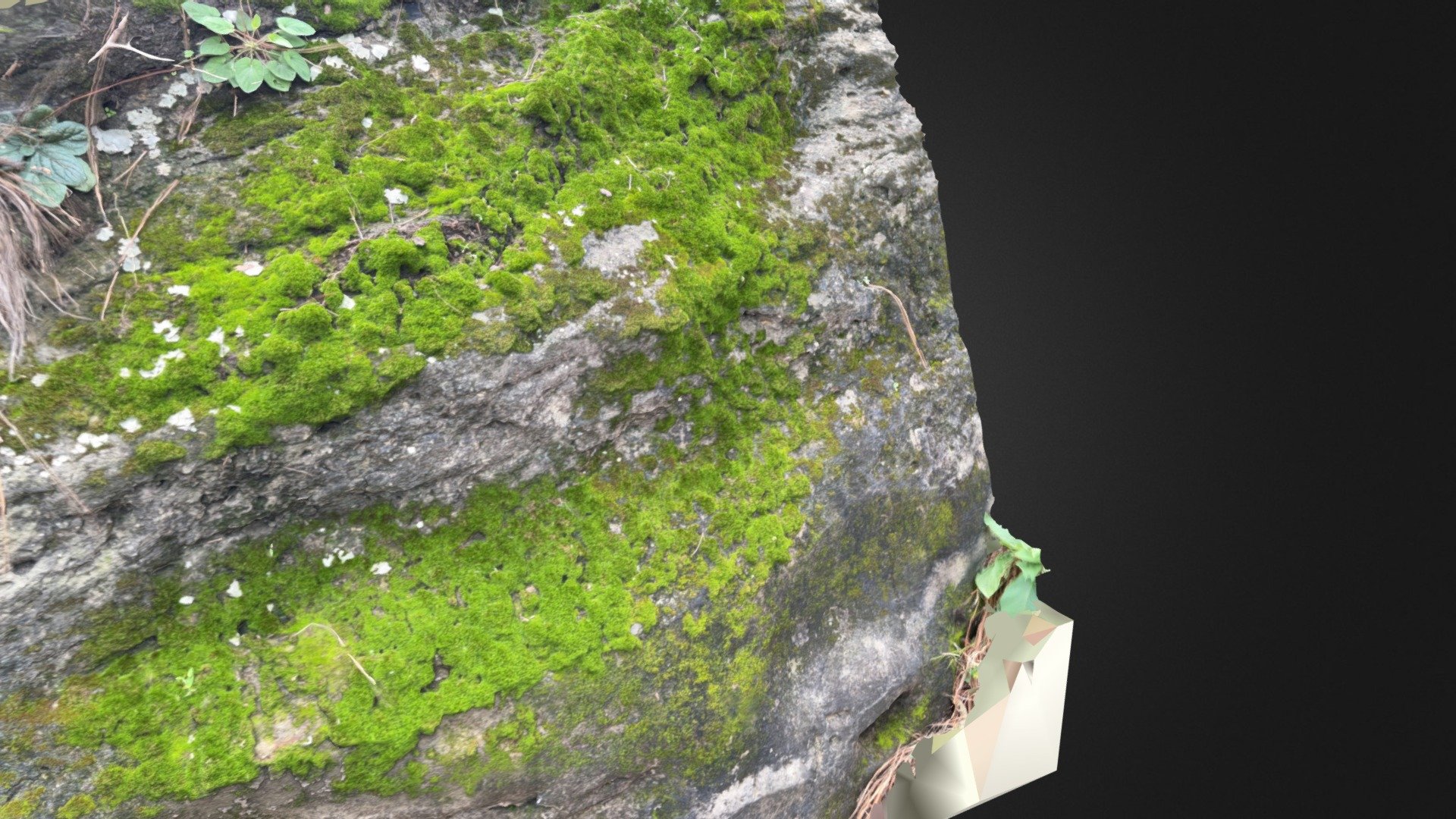 Moss - Download Free 3D model by Asif Janjua (@asifjanjua) [e80d767 ...