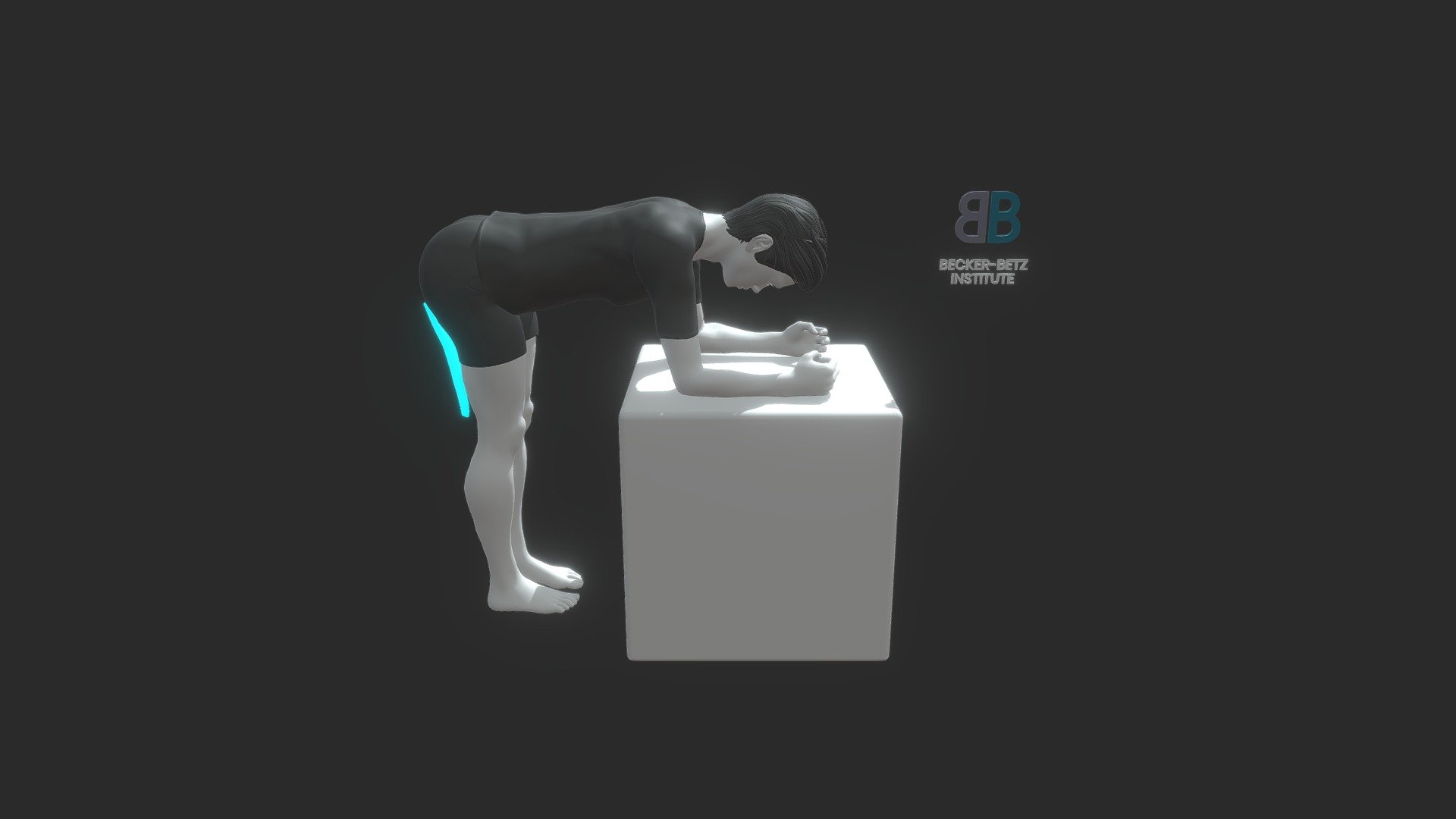 Hamstrings_1_MAN - 3D model by BeckerBetz [e81d1ad] - Sketchfab