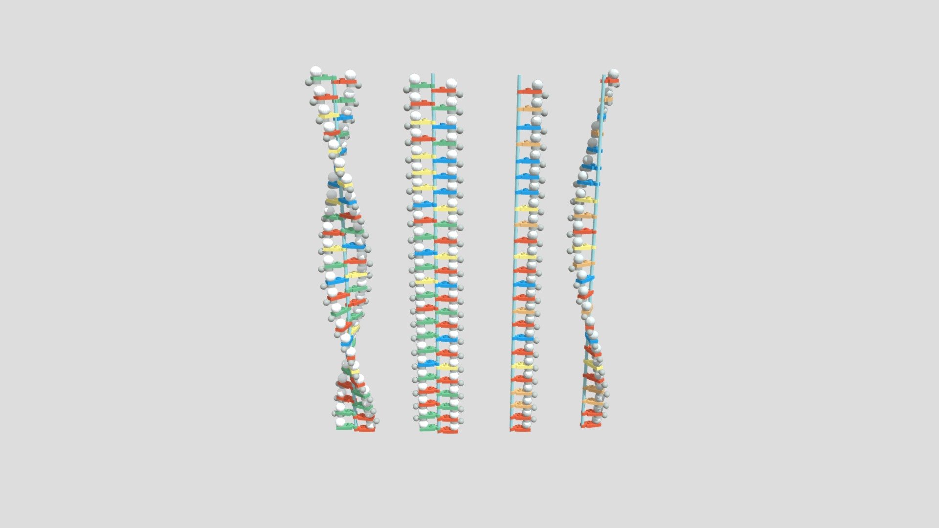 dna model - 3D model by GeckoGamer004 [e8255a9] - Sketchfab