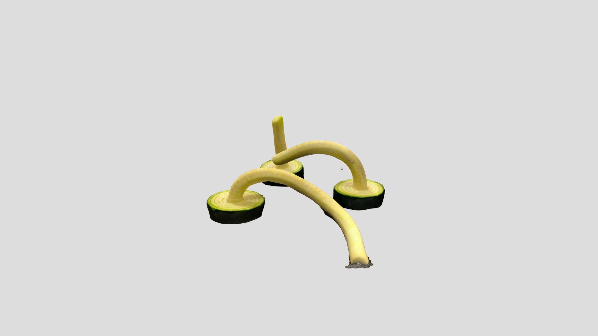 Zucchini - Download Free 3D model by trigrou [e8279a4] - Sketchfab