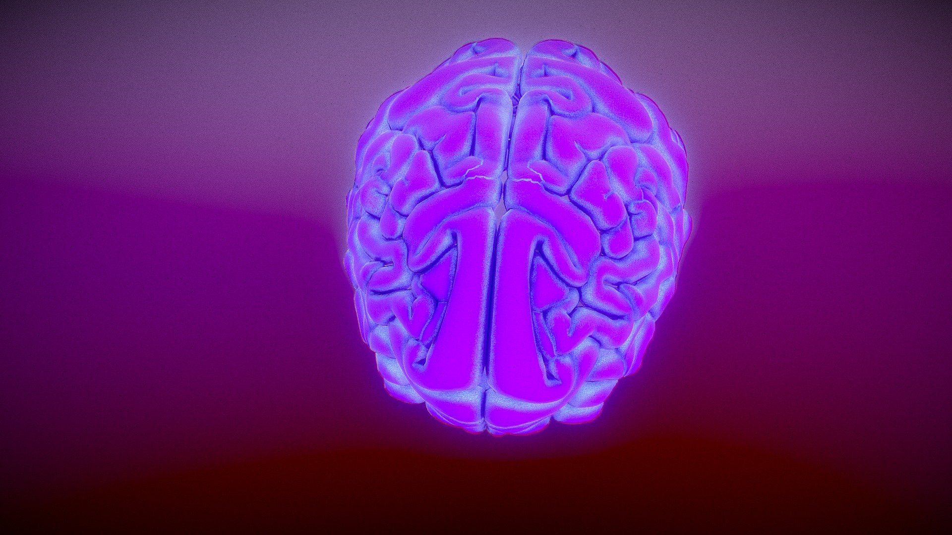 Brain_purple - 3D model by 3Duniverse (@arxius) [e839085] - Sketchfab