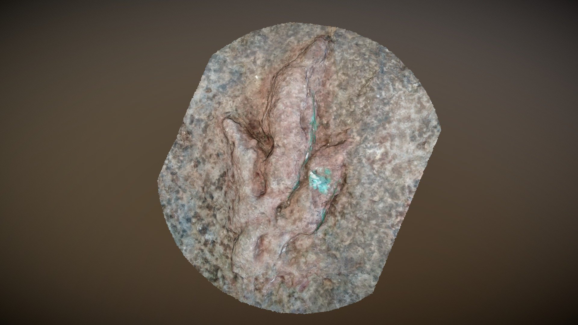 Picunichnus benedettoi - Theropod Footprint - 3D model by Irnefer ...
