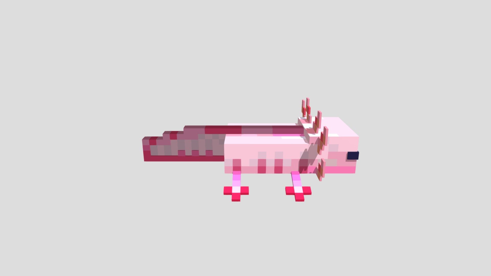 diseño de ajolote: design of axolotl 3D - Download Free 3D model by ...