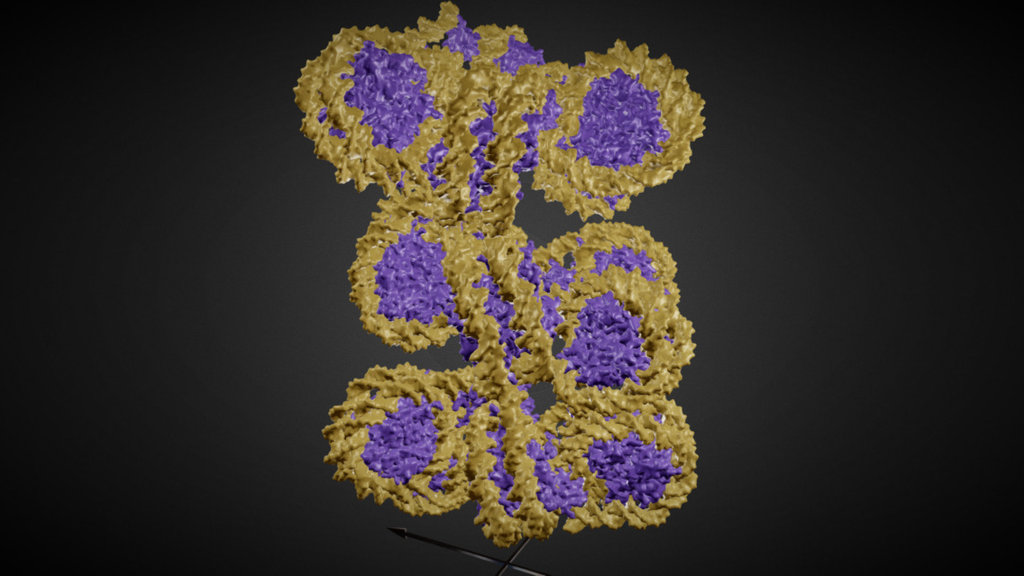 Chromatin Condensation - Solenoid Model - 3D model by mechanobio-3d ...