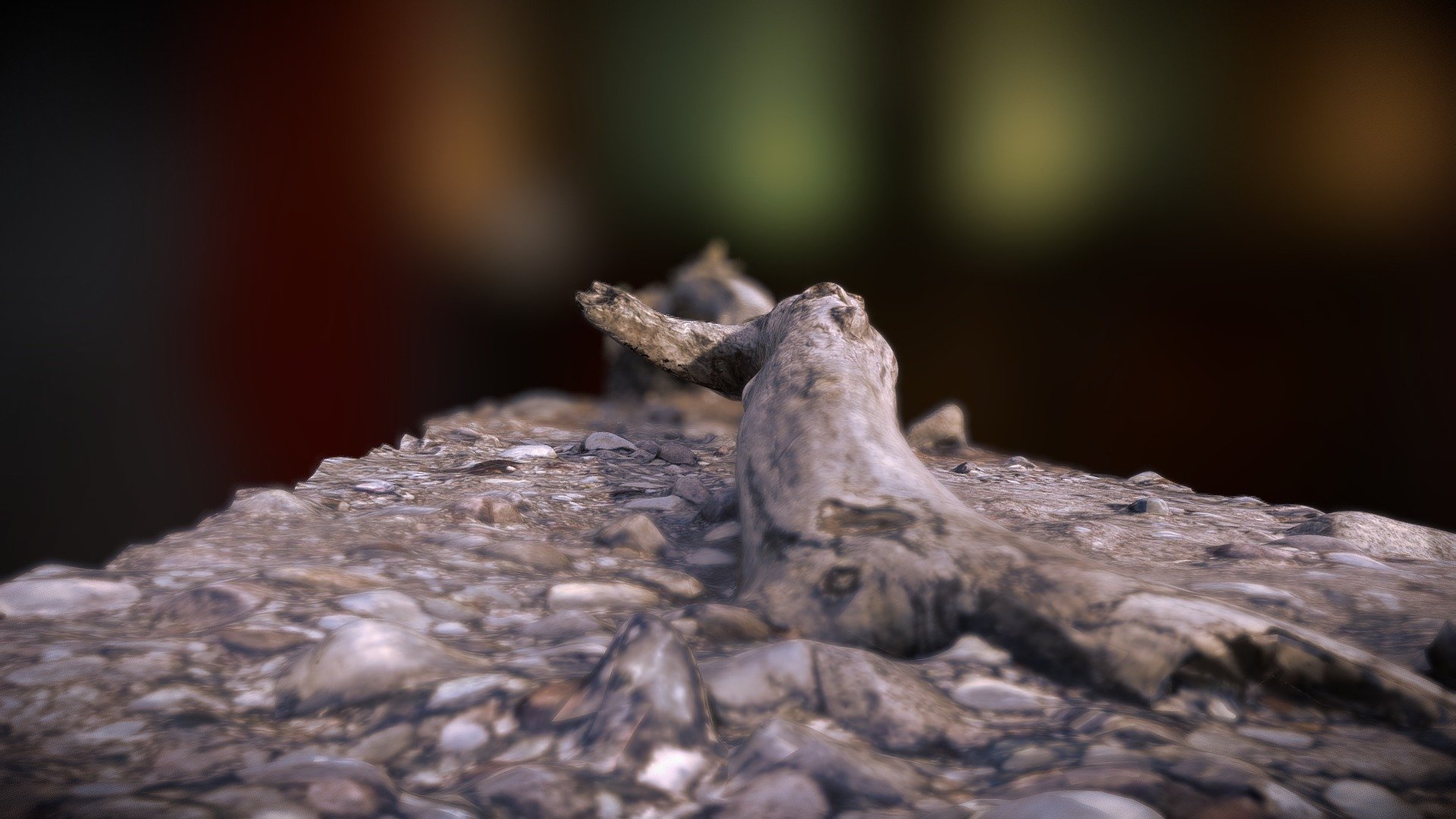 Fallen Tree on the Beach - Download Free 3D model by Lars Kölbel (@Lars ...