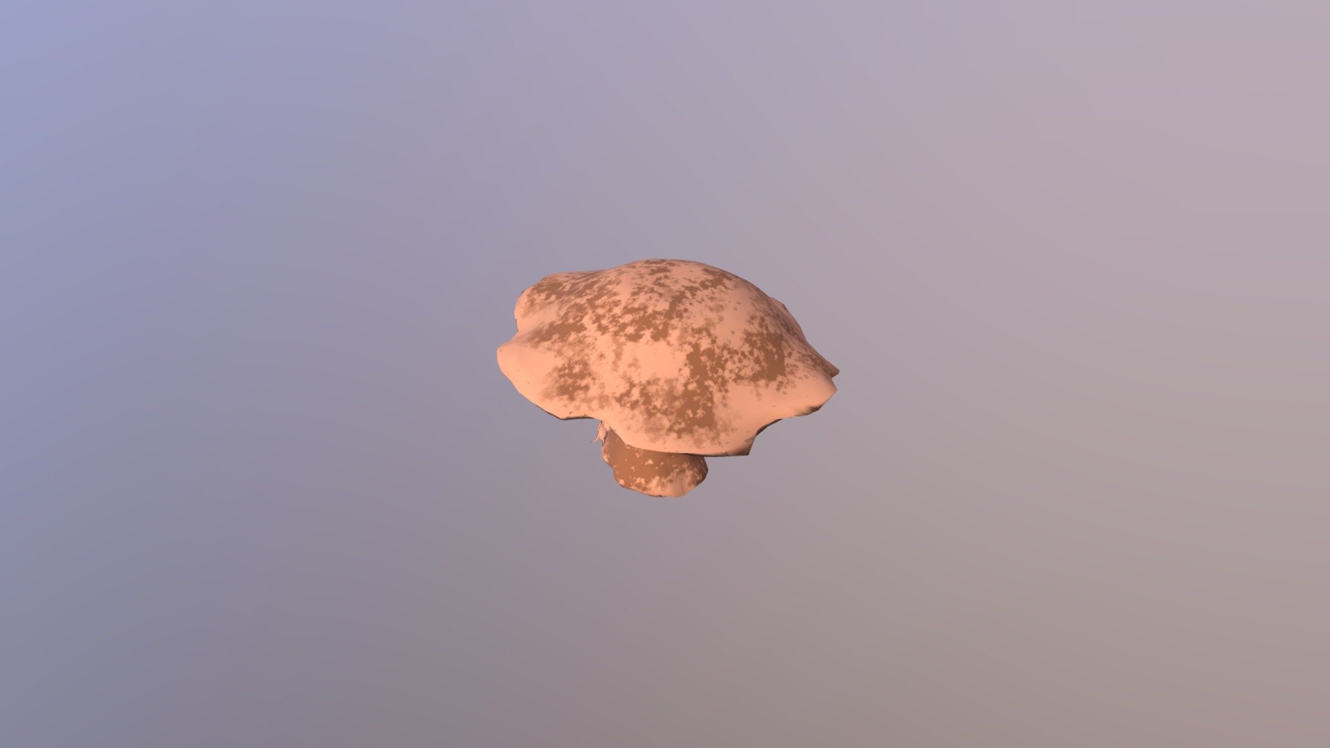 MUSHY - 3D model by Charnalyn [e84e2b4] - Sketchfab