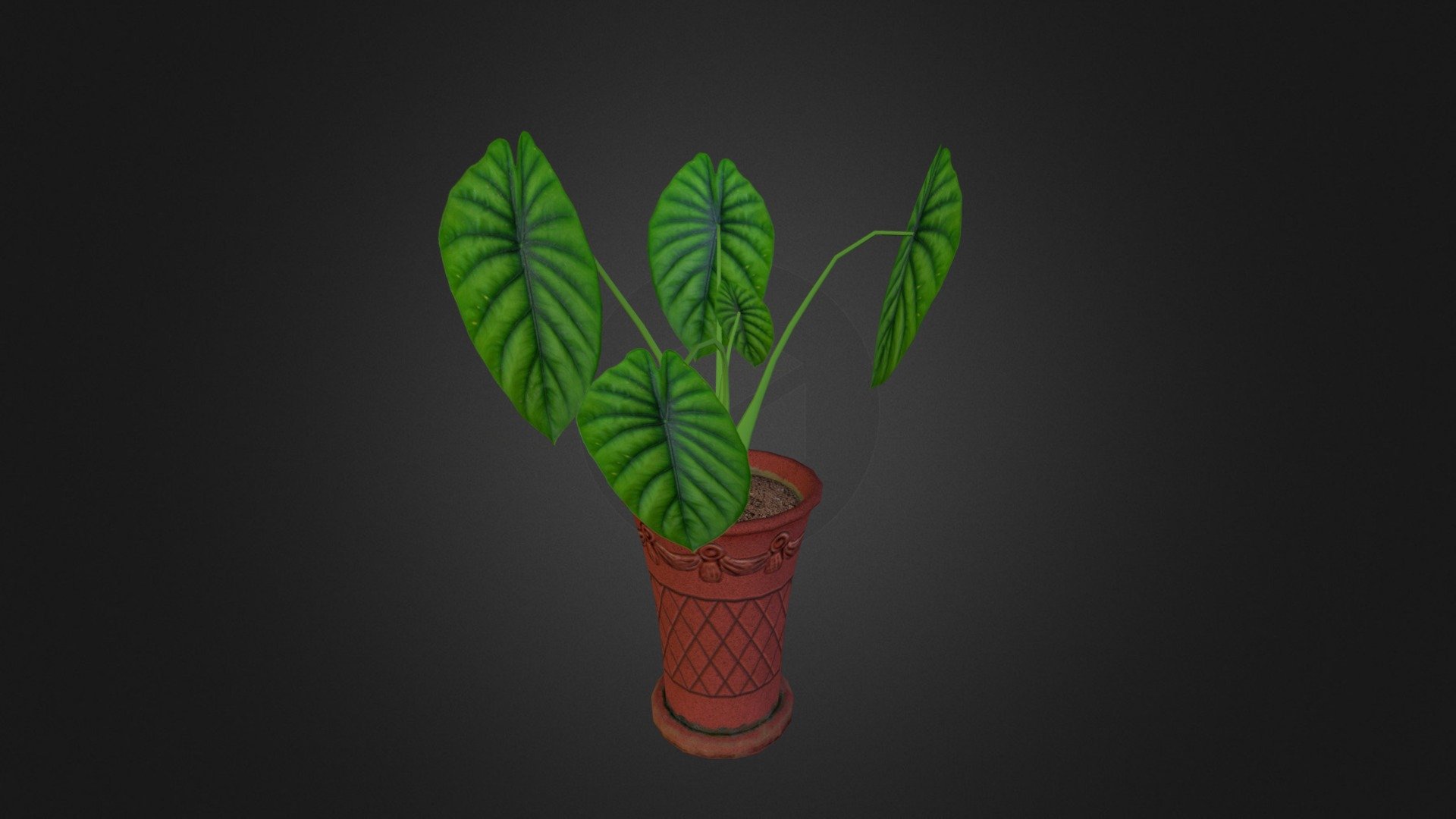 plant - 3D model by daniel (@danisco) [e84f37a] - Sketchfab