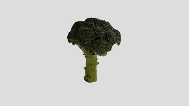 Broccoli 3D models - Sketchfab