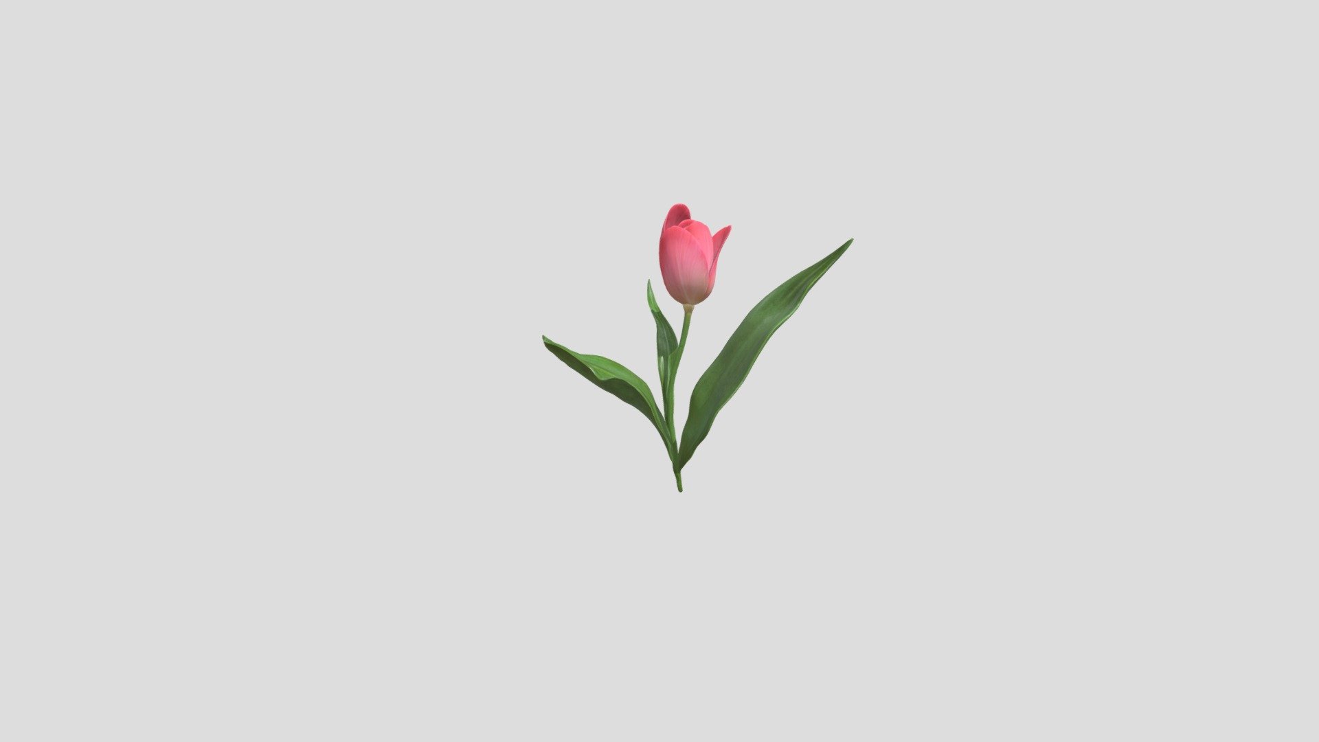bunga 1 - 3D model by Nurpratiwi (@nurpratiwiatih461) [e85ac5b] - Sketchfab