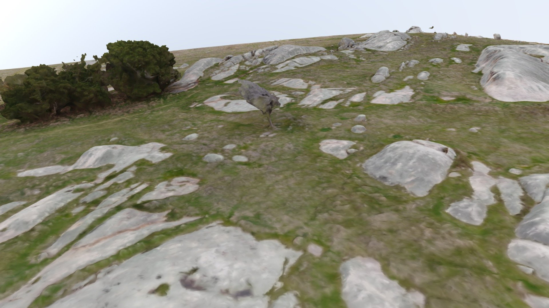 Dog Rocks in Batesford - 3D model by Domenico (@domenicomazza) [e86770f ...