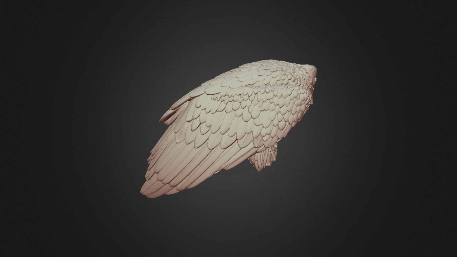 full bird for print_v02B - 3D model by Capture It In 3D (@CaptureMeIn3D ...