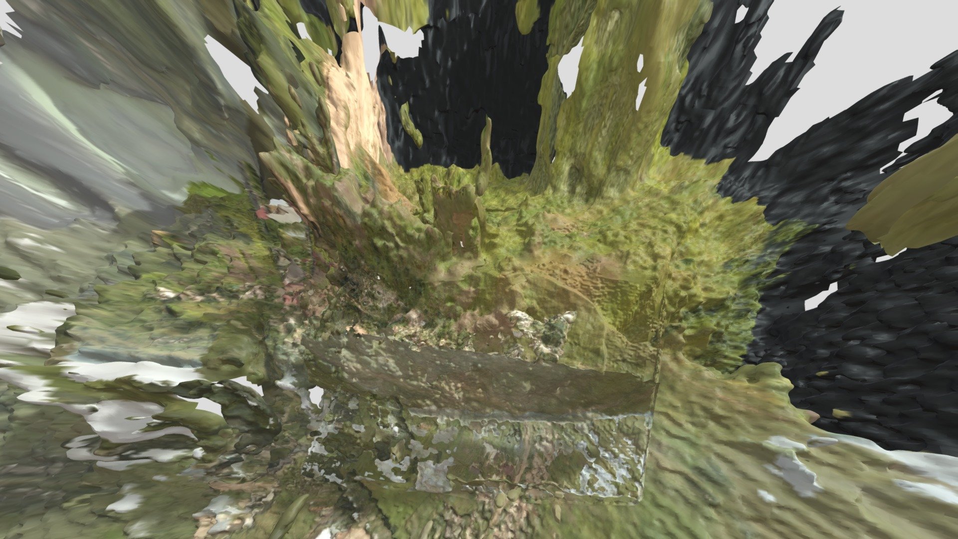Field_full_mesh - 3D model by dmk (@.-_) [e87d1f1] - Sketchfab