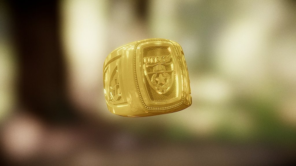 UTRGV Education Class Ring - 3D model by utrgv [e87d570] - Sketchfab