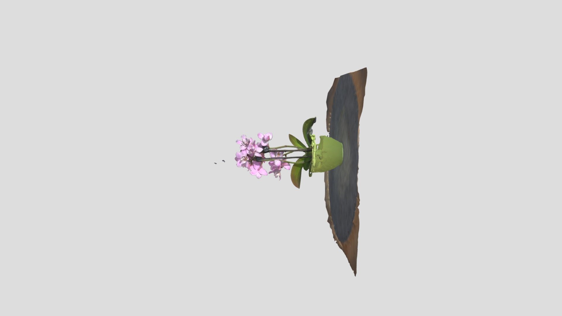 Blume - 3D model by SirBoerky [e87e140] - Sketchfab