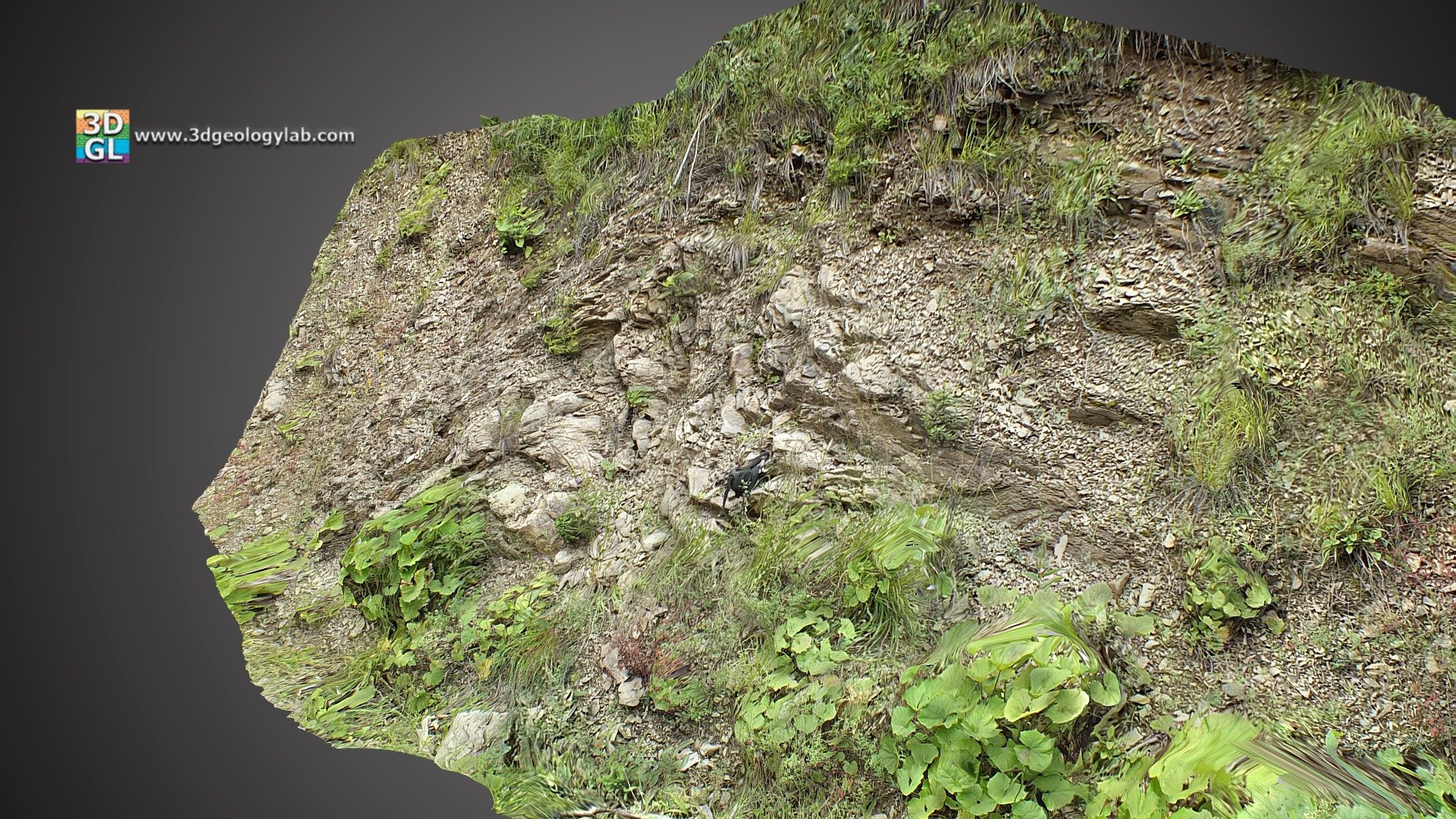 Outcrop - H135 - 3D model by 3D Geology Laboratory (@3DGeologyLab ...