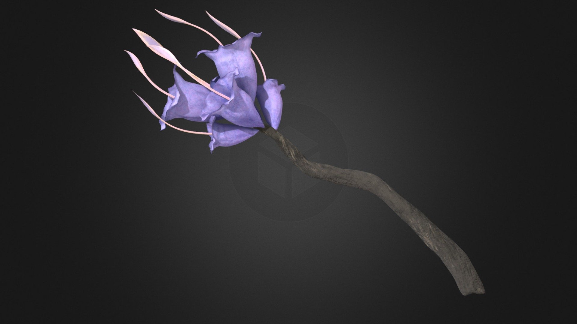 Jacaranda - Download Free 3D model by JuanI.Peralta [e87e867] - Sketchfab
