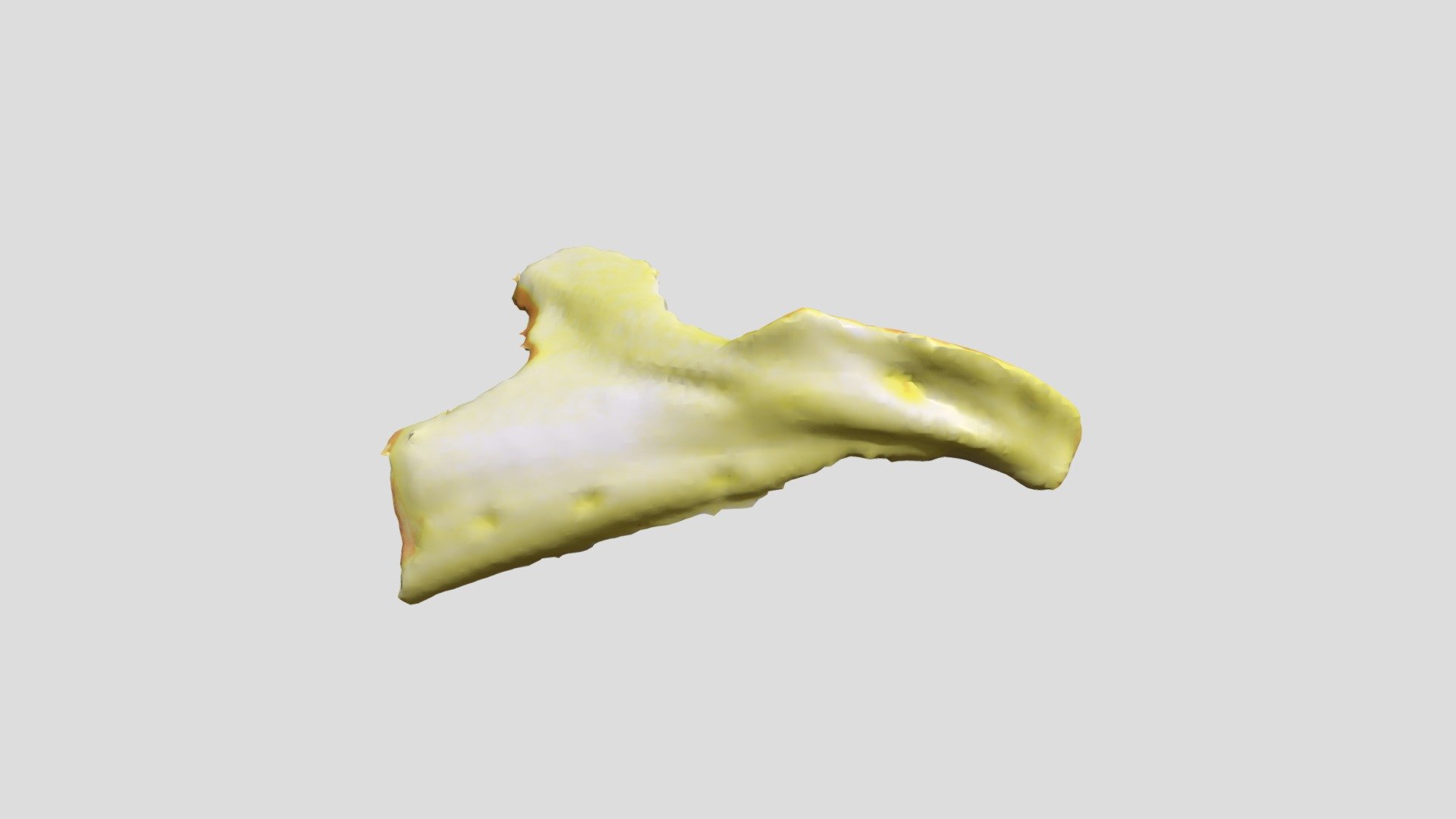 Cyprinus carpio (common carp) - dentary - 3D model by osteoarchaeology ...
