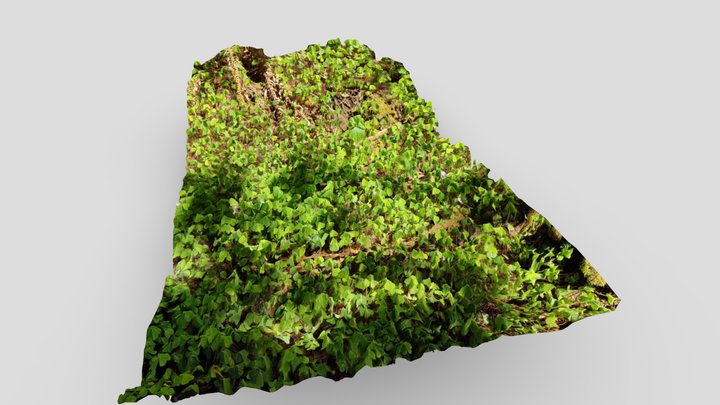 Muir 3D models - Sketchfab