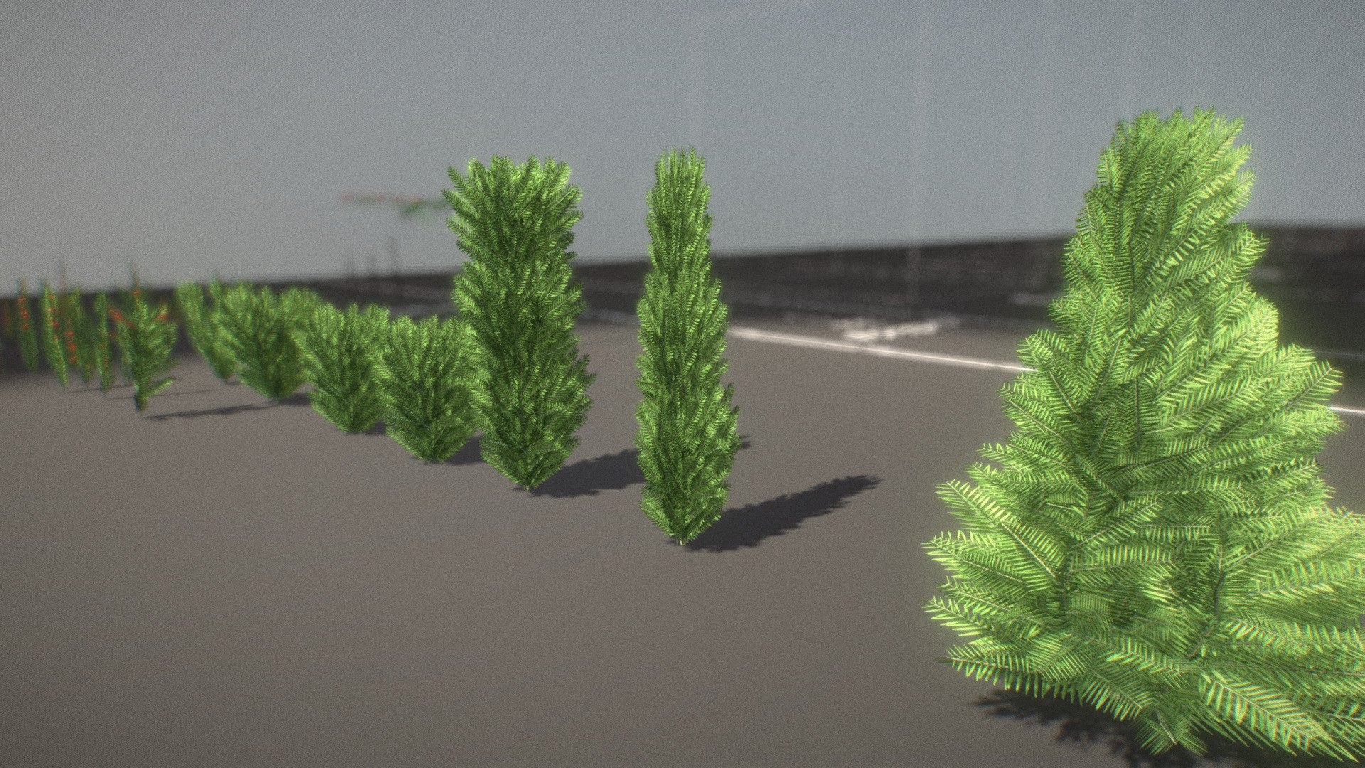 Yew Taxus Baccata Tree WIP-2 - Buy Royalty Free 3D model by VIS-All-3D ...