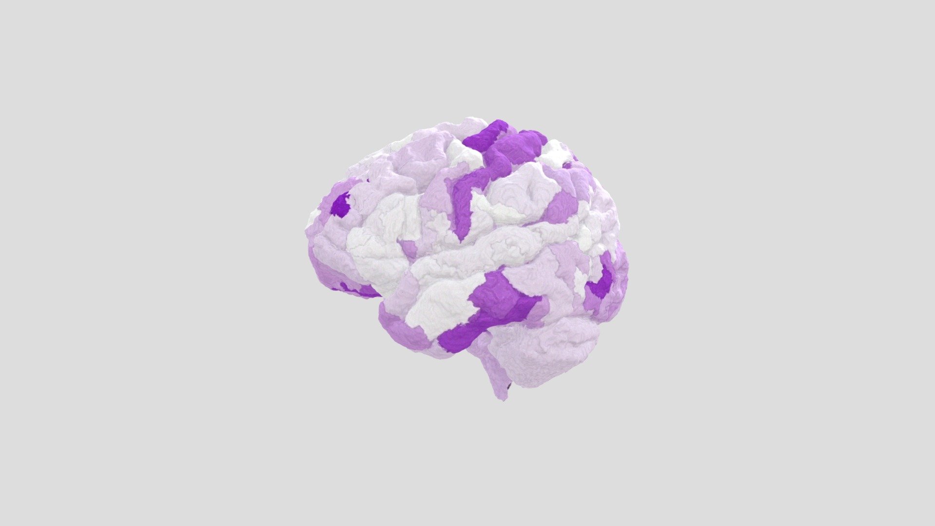 Omni Brain - 3D model by cingulumhealth [e8aab9c] - Sketchfab