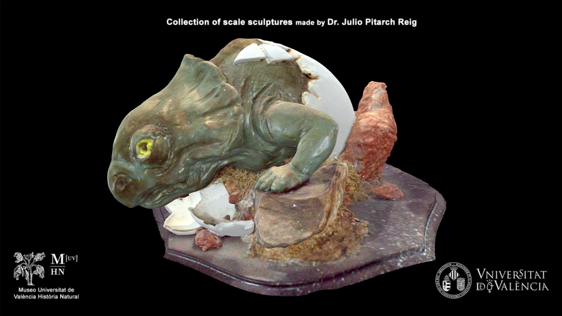 Egg Protoceratops andrewsi - Download Free 3D model by Museo [UV ...