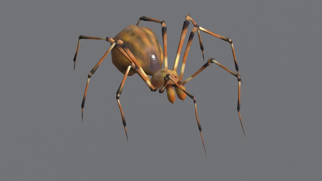 Spider - 3D model by Rudenko_Mykyta (@Rudenko_NIkita) [e8b1260] - Sketchfab