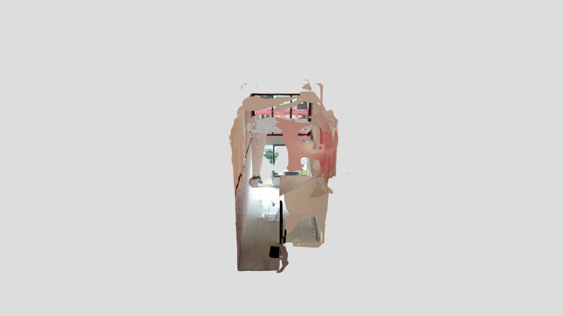 Polycam capture - Download Free 3D model by alisacustom [e8b482b ...