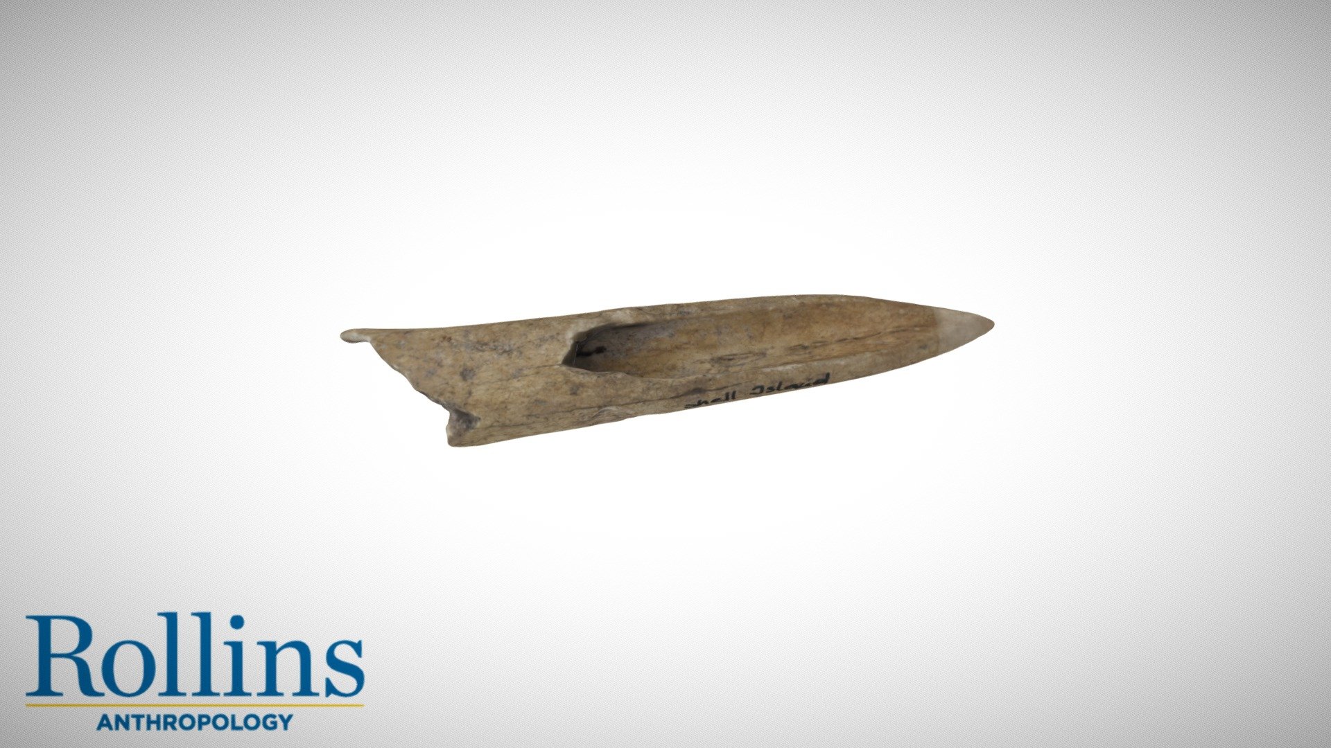 Bone Point - Download Free 3D model by Rollins College Archaeology ...