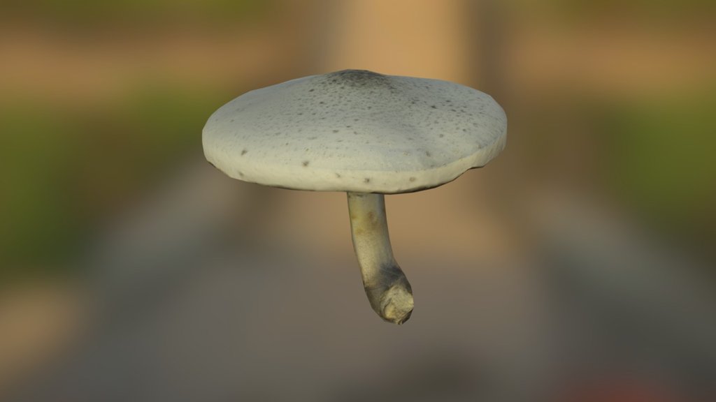 Mushroom33 - 3D model by Mikołaj Spychał (@mikolajspy) [e8ba119 ...