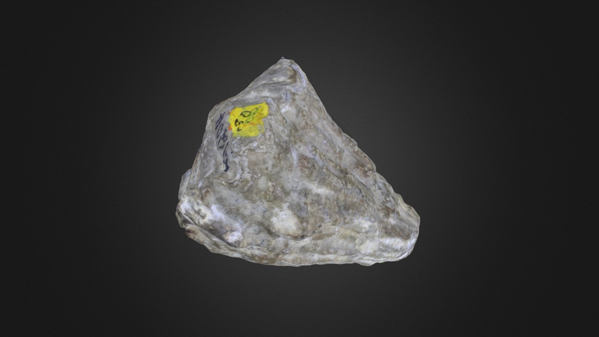 Bivalve: Rudist clam (PRI T-1204) - Download Free 3D model by Digital ...