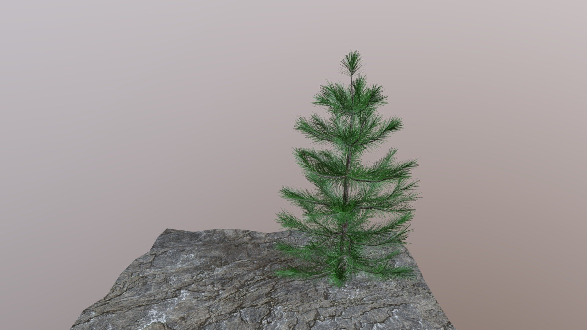 Evergreen tree pine - Download Free 3D model by Vera4Art (@Elvera ...