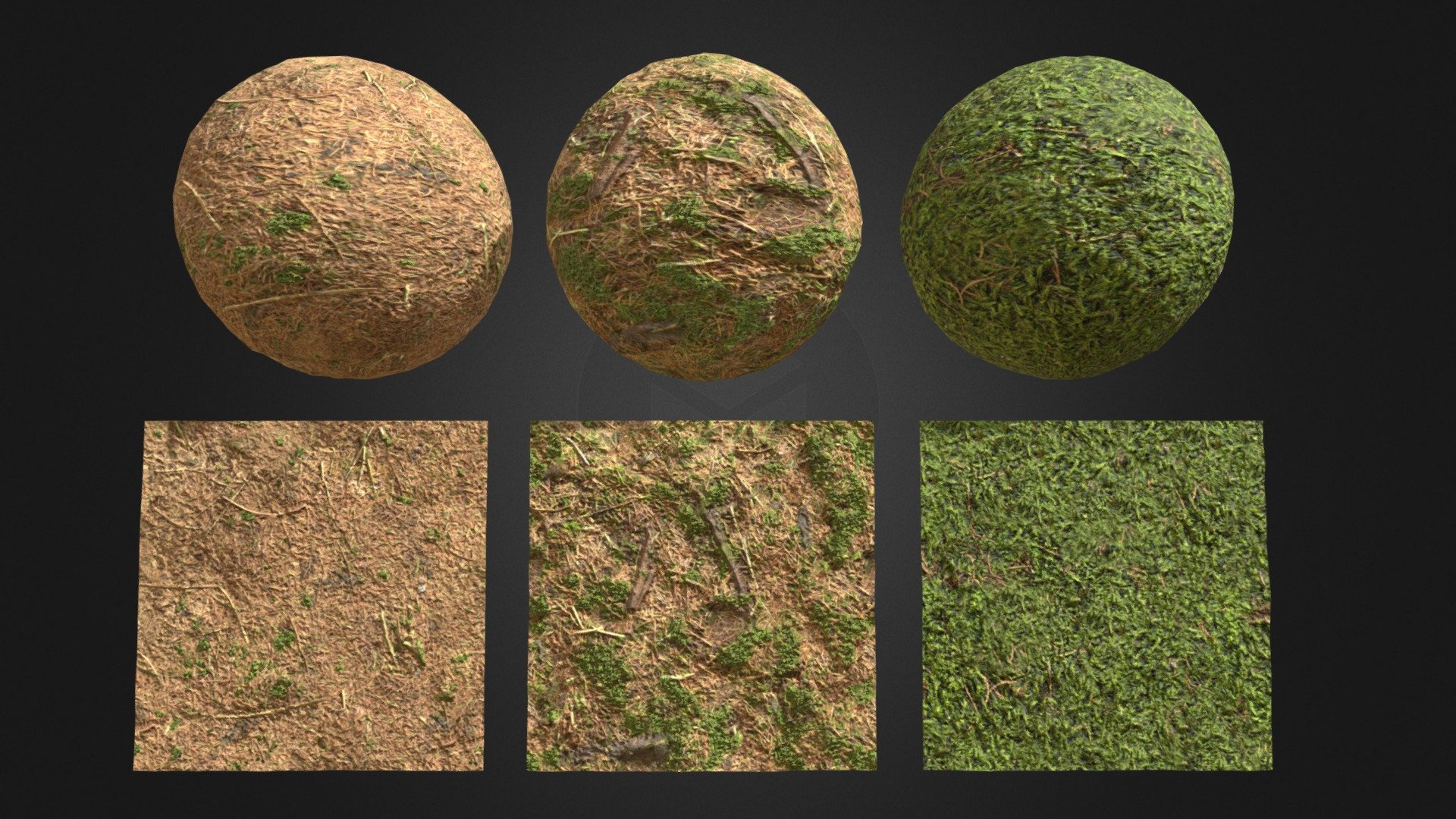 Forest Grounds Vol. 1 Materials - 3D model by Mikołaj Spychał ...