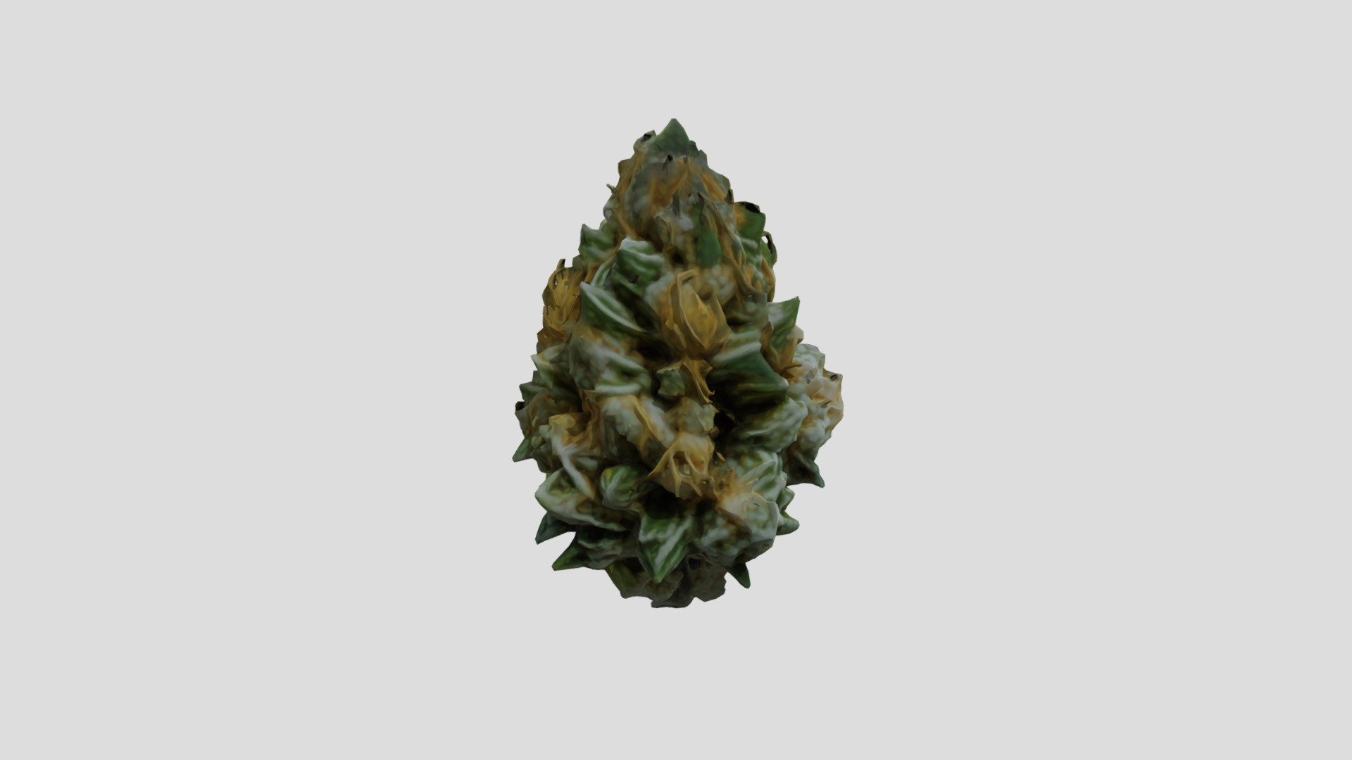 marijuana bud - 3D model by nicholascole2026 [e8d9cec] - Sketchfab