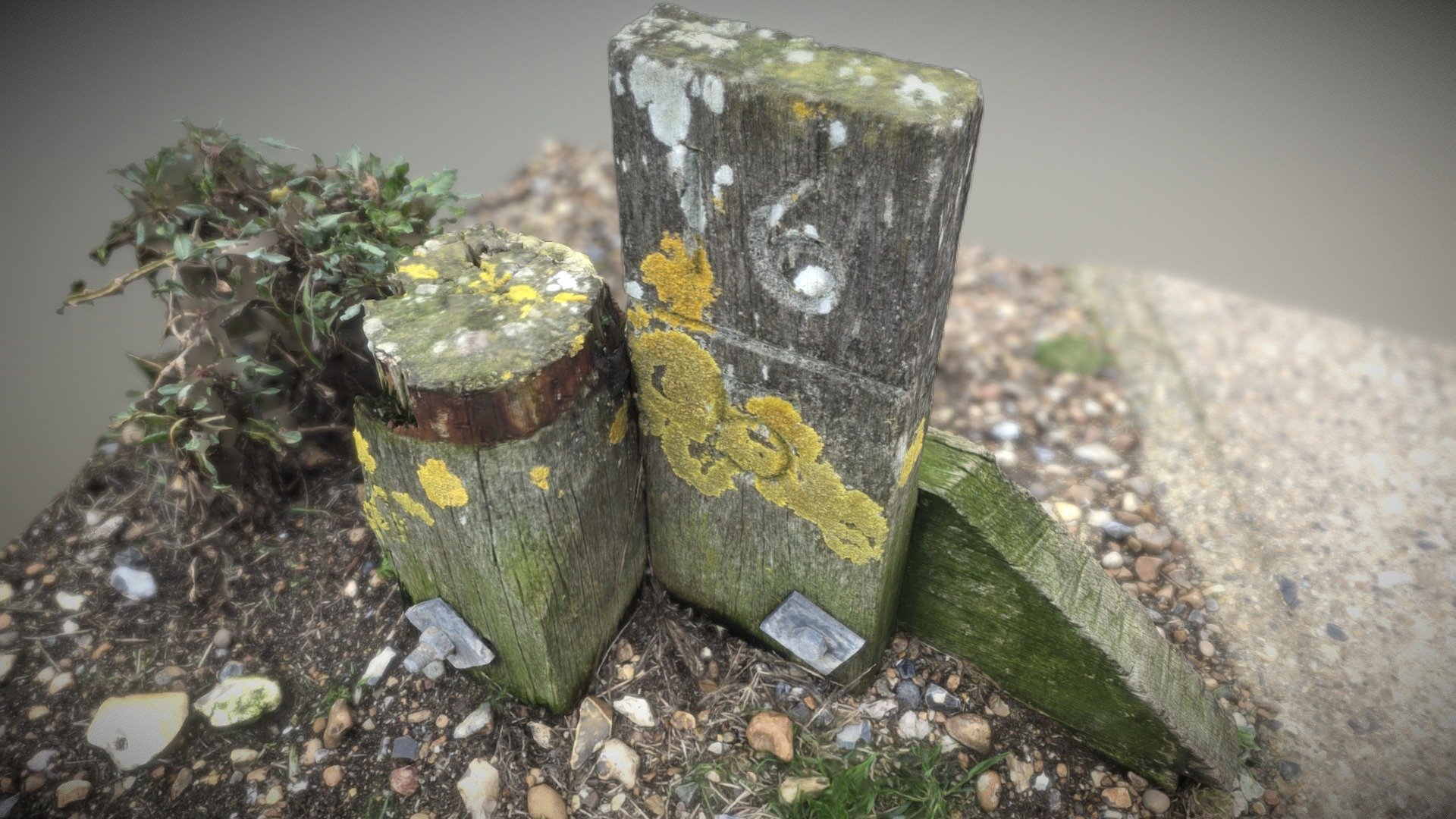 Mossy Wood Ground Divider - Aged REVISITED - Buy Royalty Free 3D model ...
