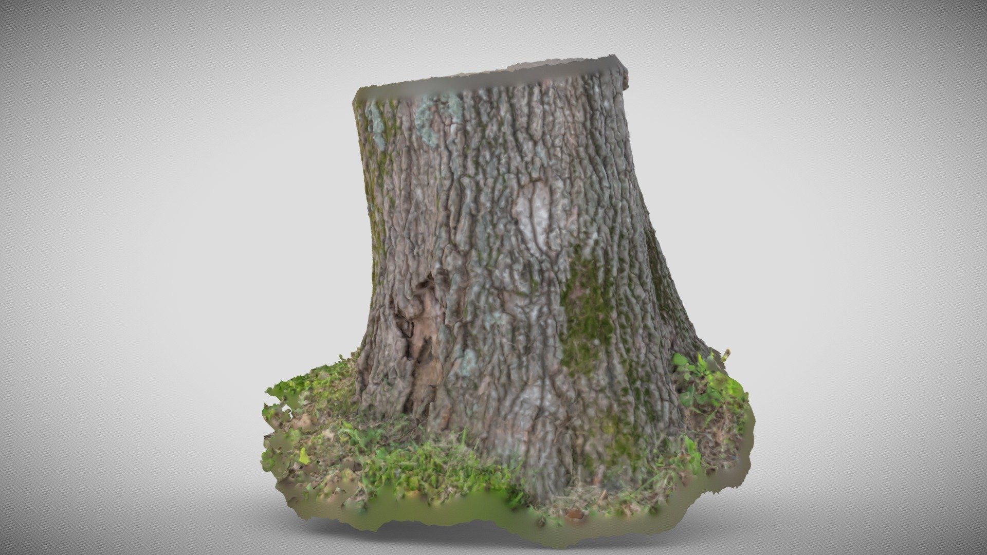 Tree_trunk - Download Free 3D model by IrisProcess [e8e30fe] - Sketchfab