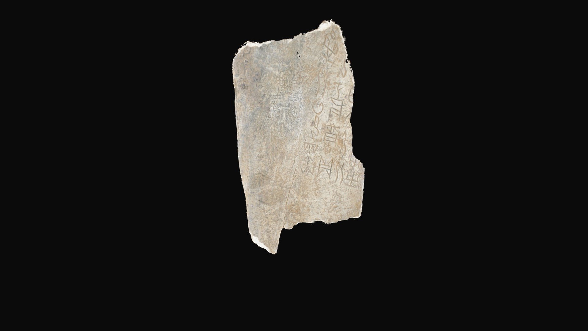Oracle bone DUROM 1969 495 47 - 3D model by Durham University ...