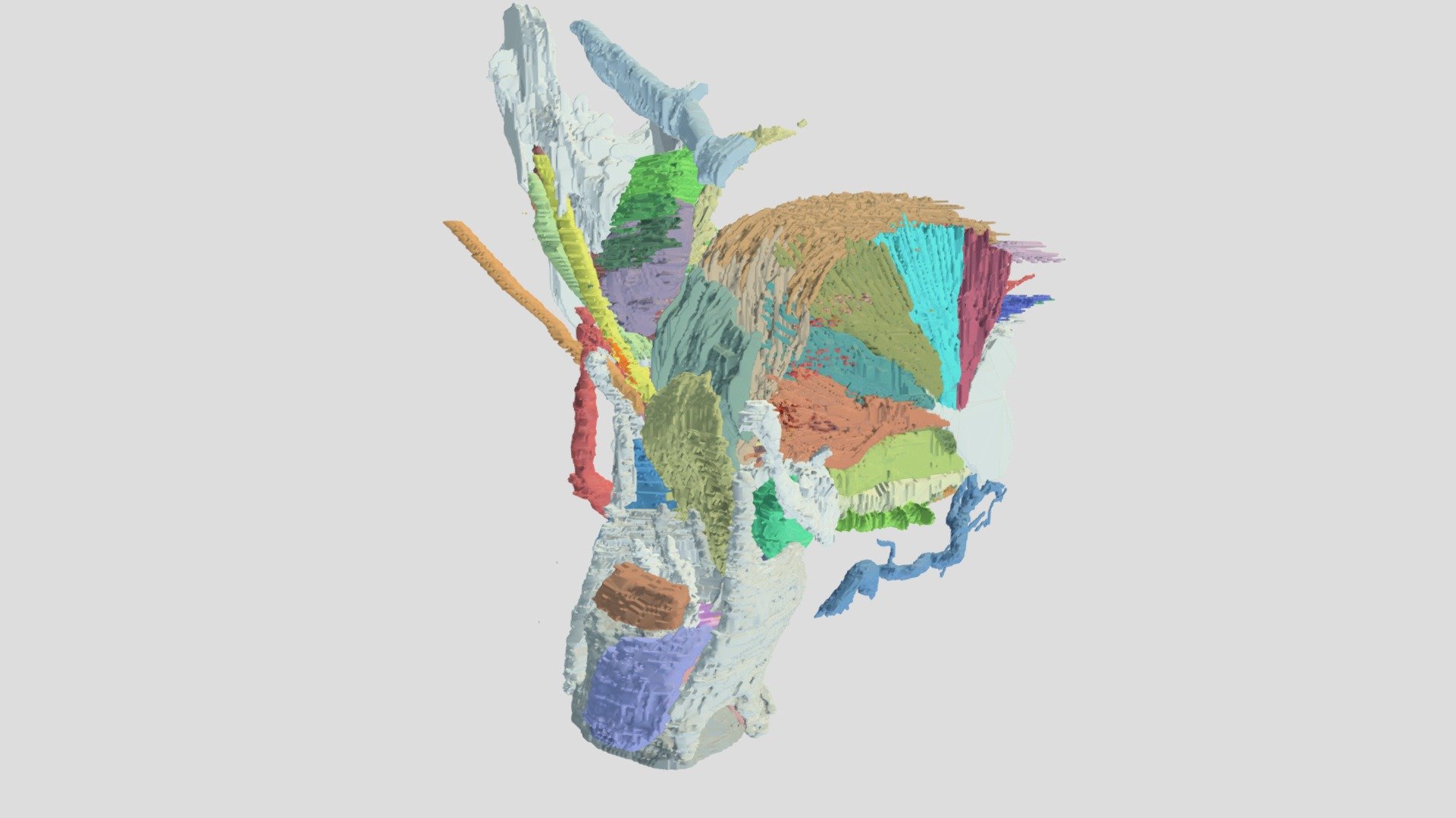 Vocal tract muscles arteries and cartilage - 3D model by ...